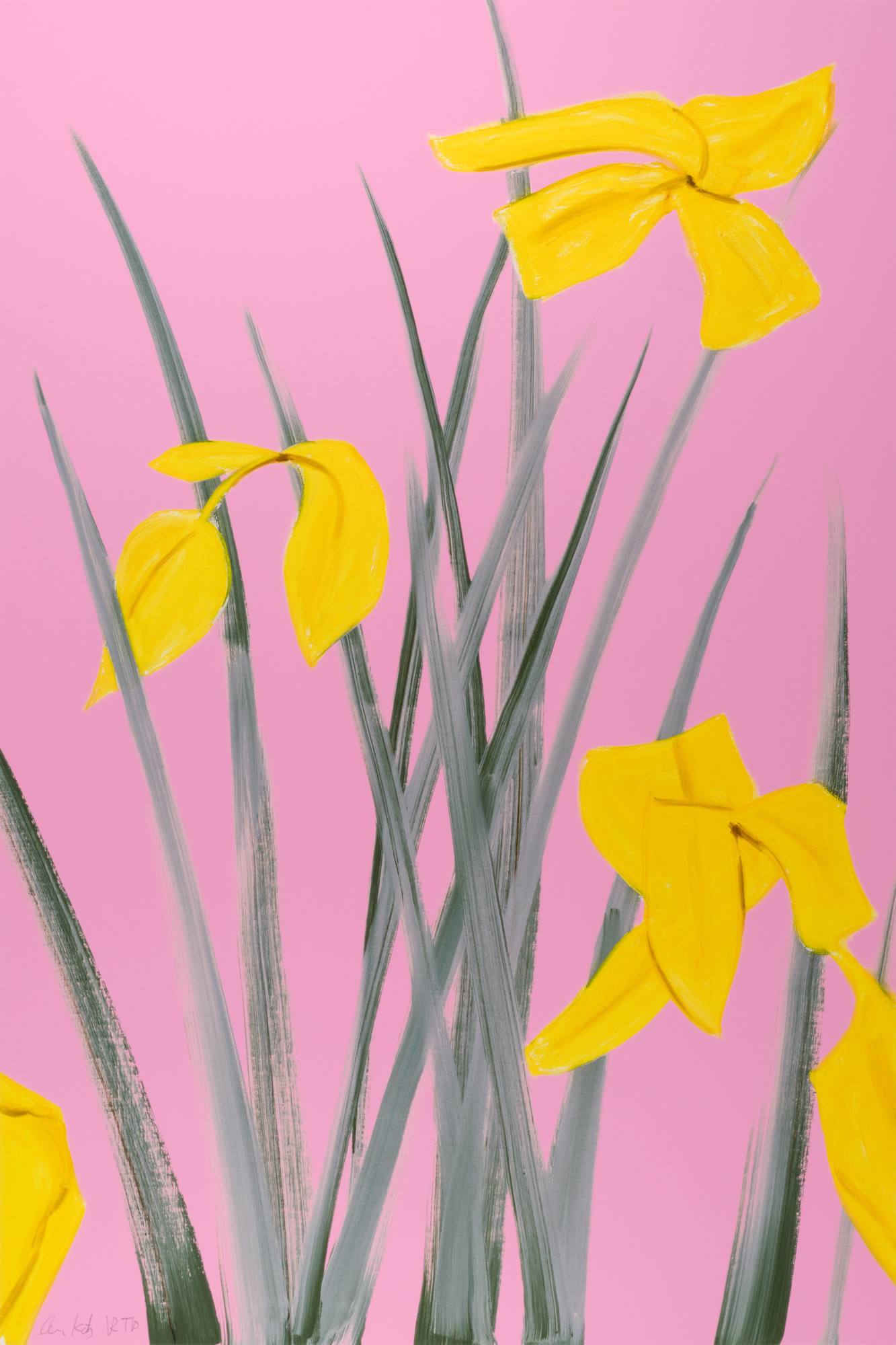 Yellow Flags on Brown - Lococo