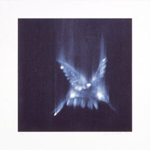 Falling Birds - Lococo