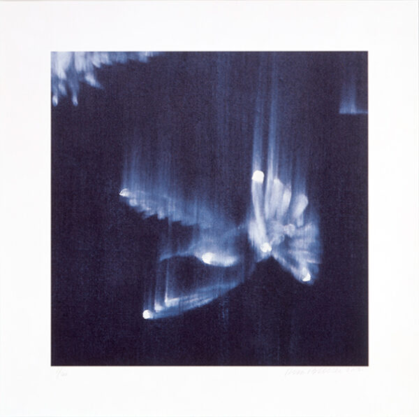 Falling Birds - Lococo