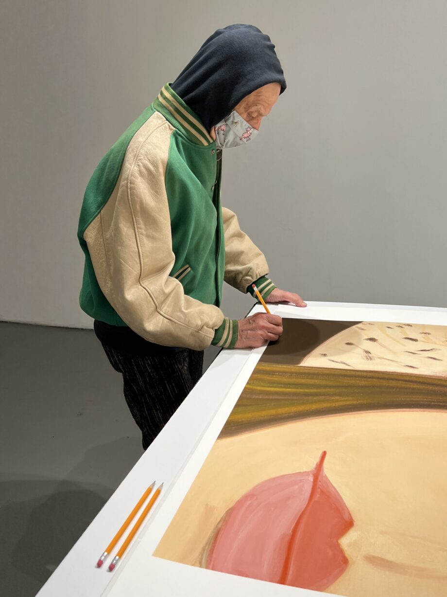 Straw Hat 2 - Lococo